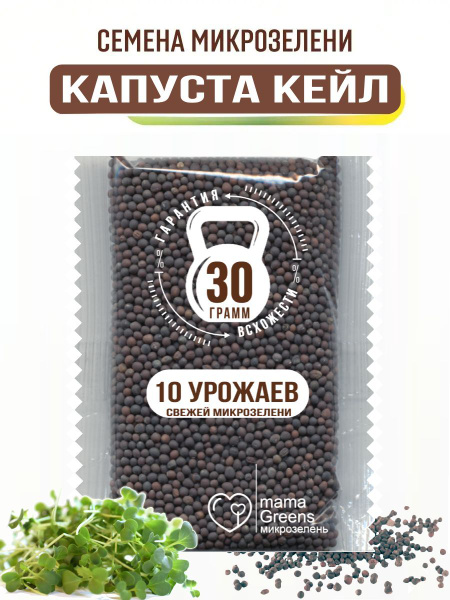 Капуста КЕЙЛ 30 гр - семена микрозелени для выращивания и проращивания ...