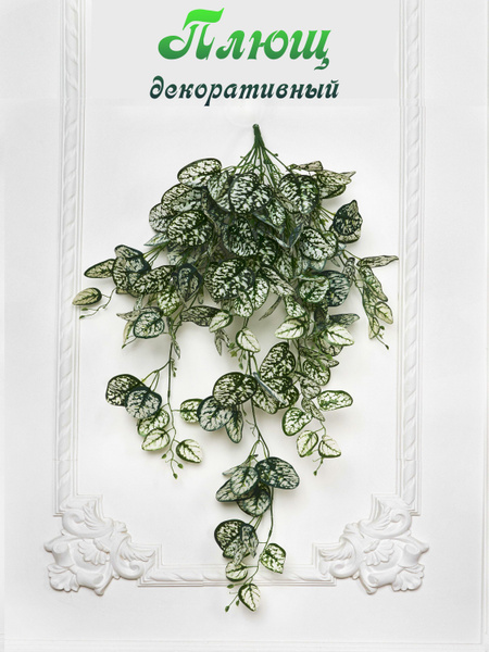 Купить Лиана для декора свисающая зелень плющ по выгодной цене в интернет магазине