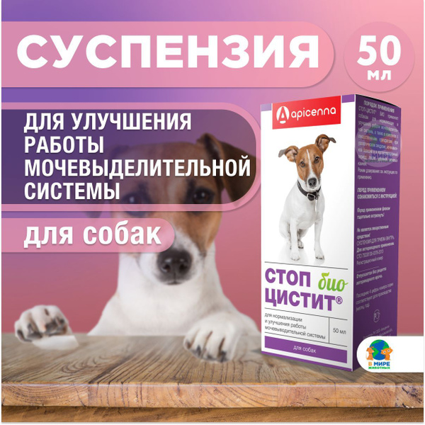 Стоп-цистит Био для собак, суспензия для приема внутрь, 50 мл - купить ...