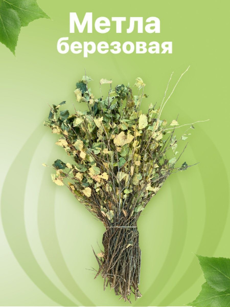 Метла березовая диаметр - 25 см - купить Метла в интернет-магазине OZON ...