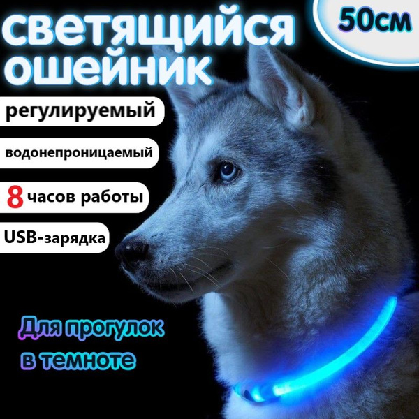 Светящийся ошейник для собак с зарядкой USB, регулировкой длины ...