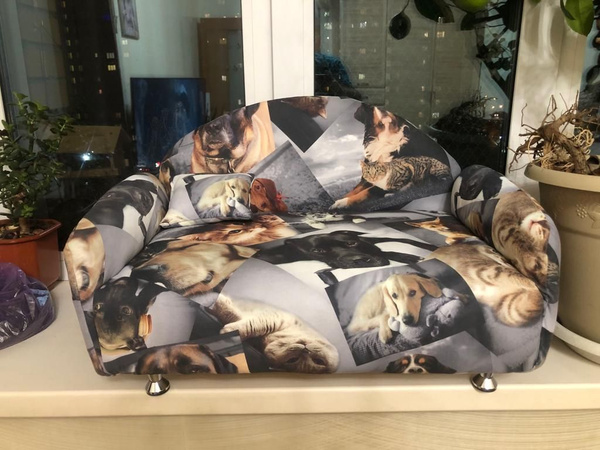 Диван-лежак для кошек и собачек, зоодиван S, 580 * 380 * 380 купить на OZON по низкой цене ...