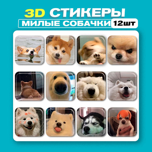 3D стикеры Милые Собачки 3д наклейки на телефон - купить с доставкой по ...