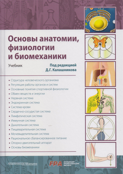 Основы анатомии, физиологии и биомеханики | Калашников Д. Г., Меркурьев ...