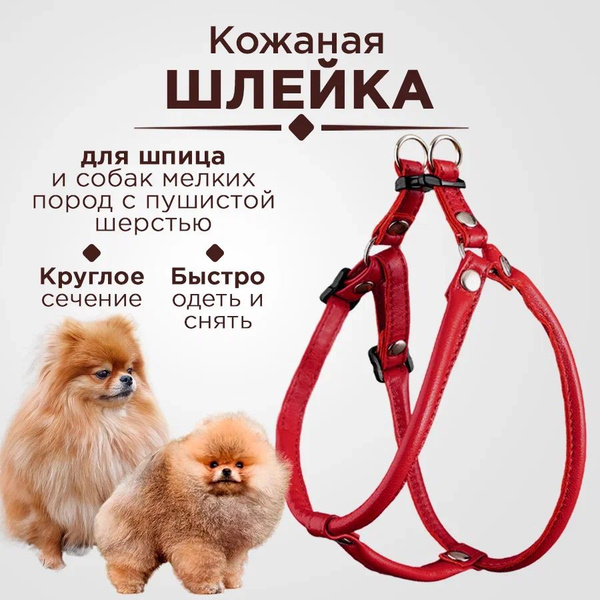 Шлейка для шпица круглая кожаная, шлейка для пушистых собак мелких ...