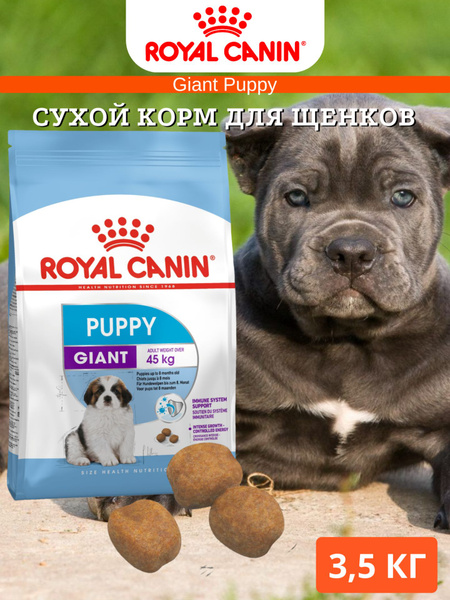 Сухой корм для щенков Royal Canin Giant Puppy 3,5кг - купить с ...