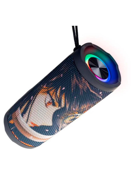 Беспроводная колонка Perfeo PF_D0330 - купить по доступным ценам в ...