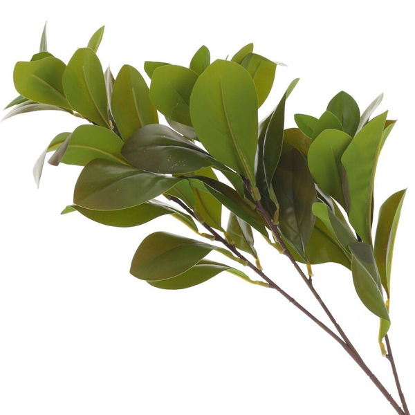 Цветочница Flando - купить в интернет-магазине OZON с доставкой по ...