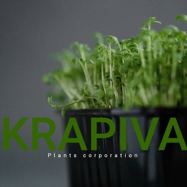KRAPIVA — купить товары KRAPIVA в интернет-магазине OZON
