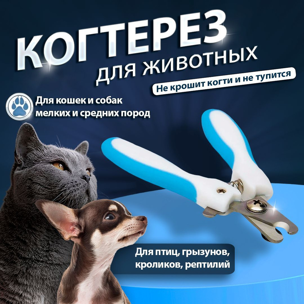 Когтерез. Ножницы для стрижки когтей животных. Для кошек и собак мелких ...