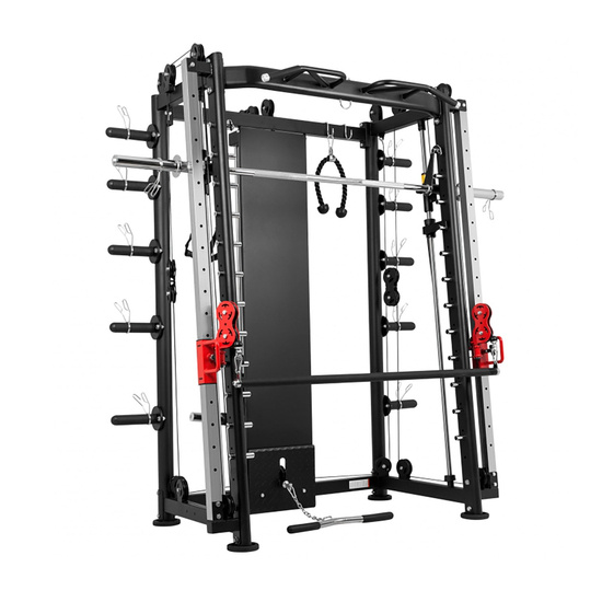 Машина Смита DFC POWERGYM D822 купить по низкой цене с доставкой в ...
