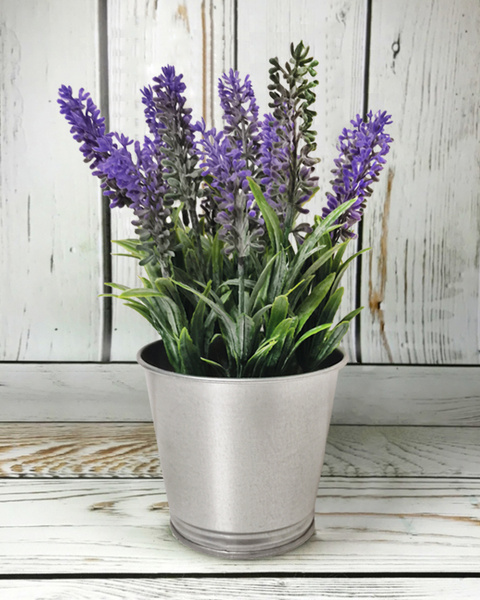 Купить Лаванда в металлическом горшке по выгодной цене в интернет ...