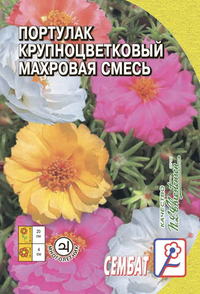 Портулаки Сембат Крупноцветковый - купить по выгодным ценам в интернет ...