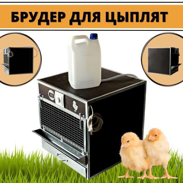 Брудер для цыплят, бройлеров, перепелов "Комфорт Мини". - купить с ...