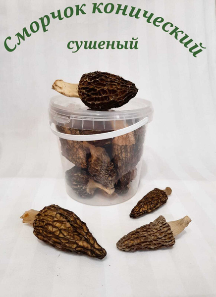 Сморчок конический сушеный, конический сморчок, деликатес, грибы ...