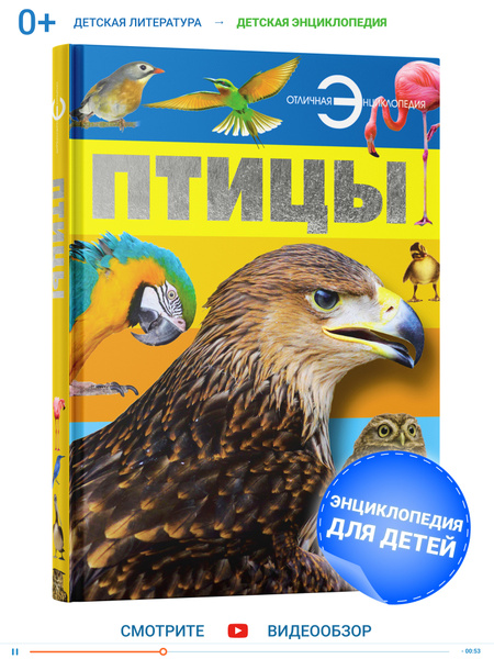 Книга, большая энциклопедия для детей, школьников Птицы для чтения, с ...