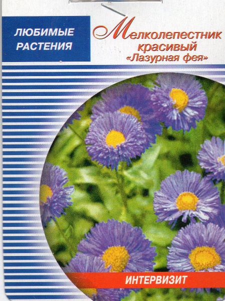 Многолетники для альпийской горки Многолетники_синий - купить по ...