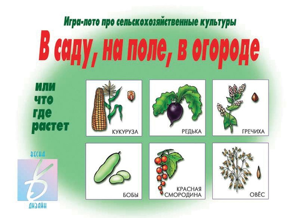 В саду, на поле, в огороде. Игра-лото - купить с доставкой по выгодным ...