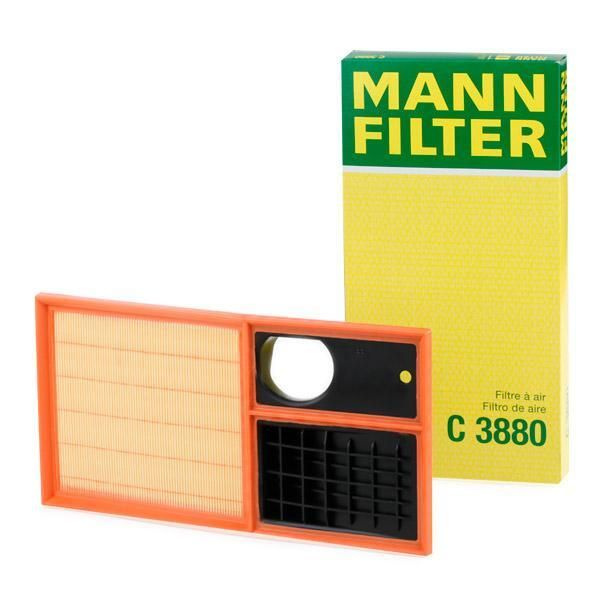 Фильтр воздушный MANN FILTER C3880 - купить по выгодным ценам в ...