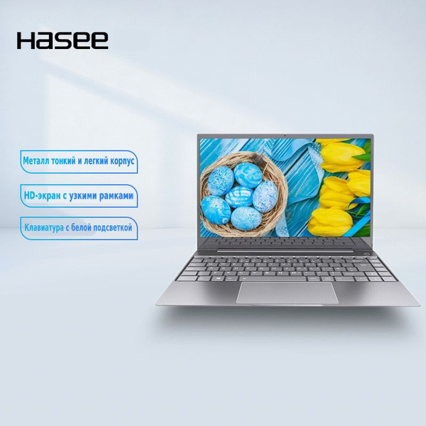 Ноутбук Hasee X4-D2, серебристый купить по низкой цене: отзывы, фото ...