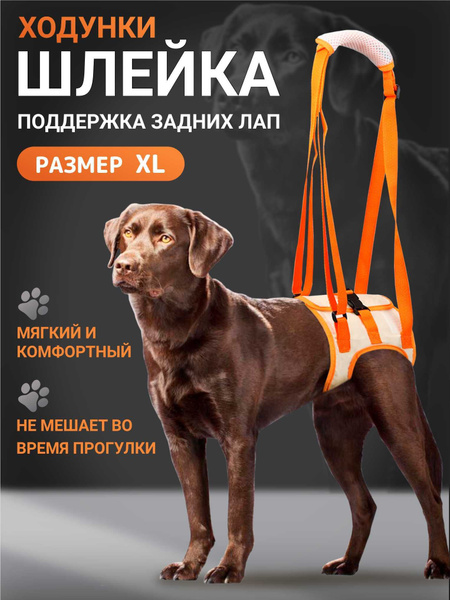 Ходунки для собак - купить с доставкой по выгодным ценам в интернет ...