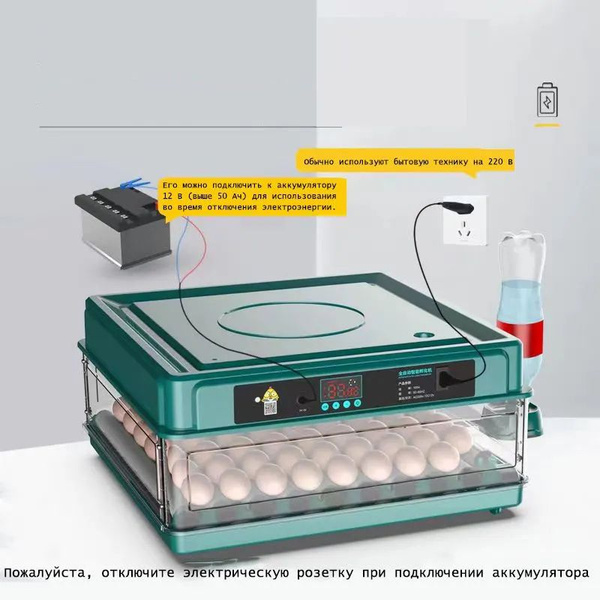 Инкубатор для яиц 30 Инкубатор для яиц - купить с доставкой по выгодным ...