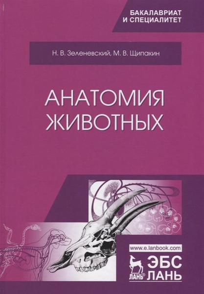 Анатомия животных. Учебник - купить с доставкой по выгодным ценам в ...