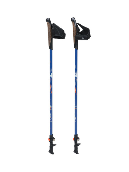 Палки Треккинговые Ternua Walking Pole High Tide (Б/Р) - купить с ...
