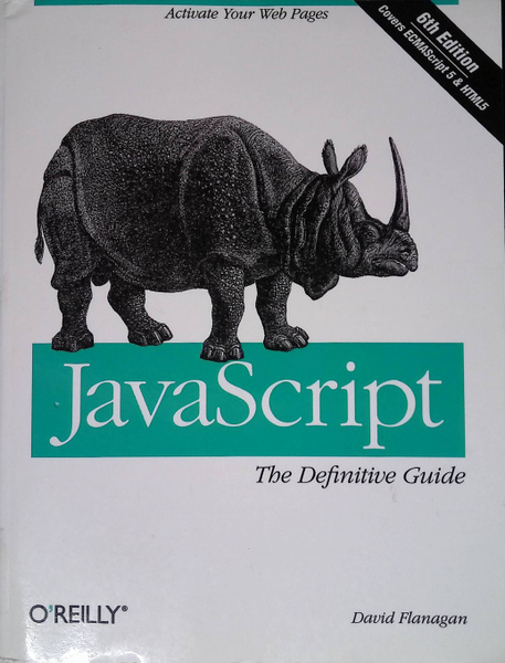 JavaScript: The Definitive Guide купить на OZON по низкой цене (1008264911)