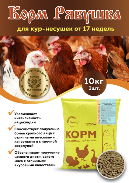 Полнорационный корм Рябушка для кур-несушек от 17 недель 10кг - купить ...