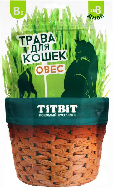TiTBiT трава для кошек, овес, 60 г - купить с доставкой по выгодным ...