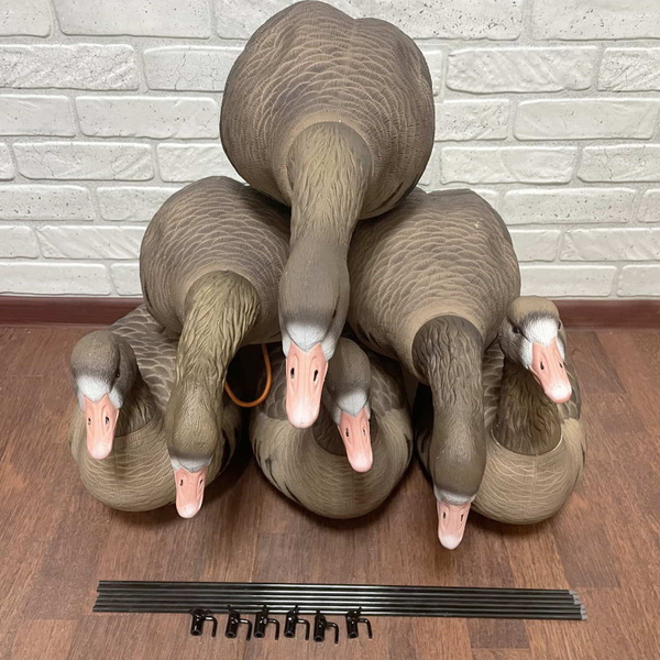 Чучела белолобого гуся Oscar Decoys Speckbelly Elite 3D ESG-6 (3 ...