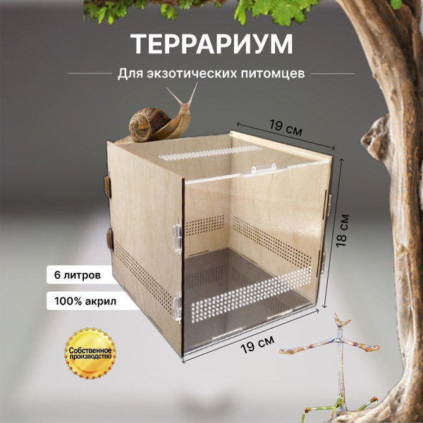 Террариум с крышкой для богомолов, пауков, улиток - купить с доставкой ...