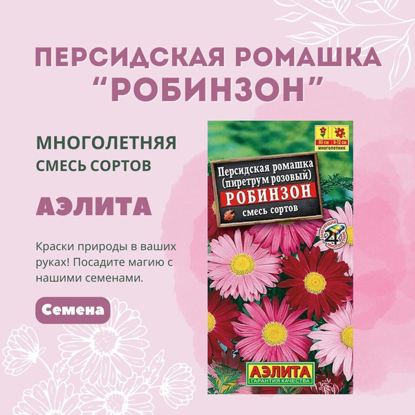 Ромашка Аэлита ромашка - купить по выгодным ценам в интернет-магазине ...