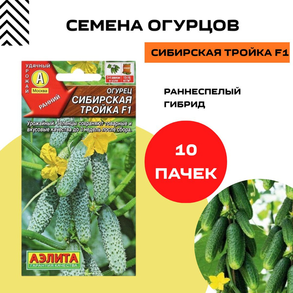 Огурцы семена_огурец_агроэлита_10 - купить по выгодным ценам в интернет ...