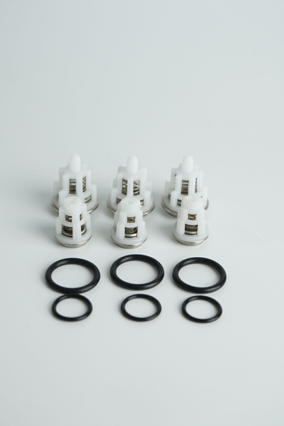 Клапаны для насоса IPG Evolution 2 и 3 - купить в интернет-магазине OZON с доставкой по России ...