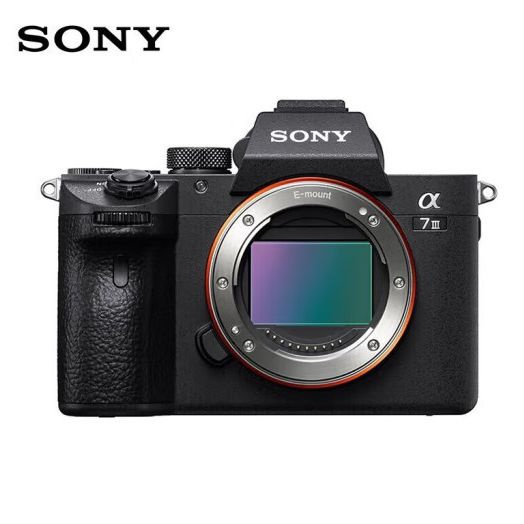 Компактный фотоаппарат Sony (Сони) микро-однокамерная полнокадровая ...