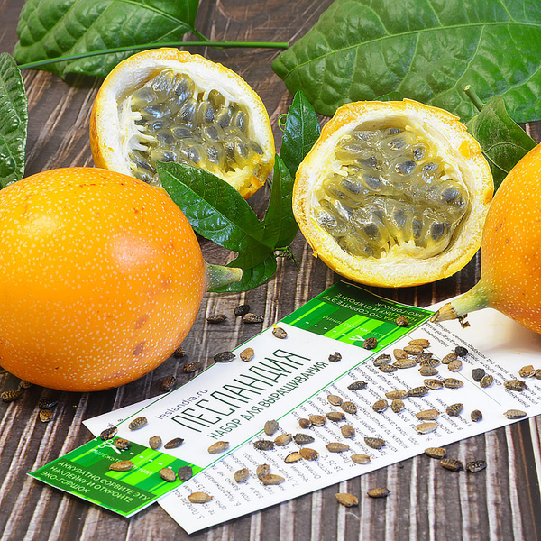 Пассифлора Лесландия Пассифлора язычковая гранадилла Маракуйя, 5 шт ...