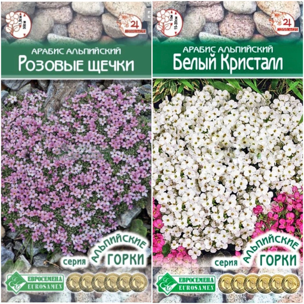 Арабис Евросемена Многолетники_2_Арабис альпийский набор Нежность ...