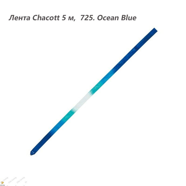 CHACOTT Лента для гимнастики купить на OZON по низкой цене (1400200932)