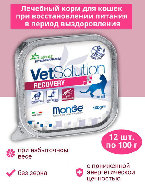 Ветеринарная диета Monge VetSolution Cat Recovery Рекавери для кошек ...