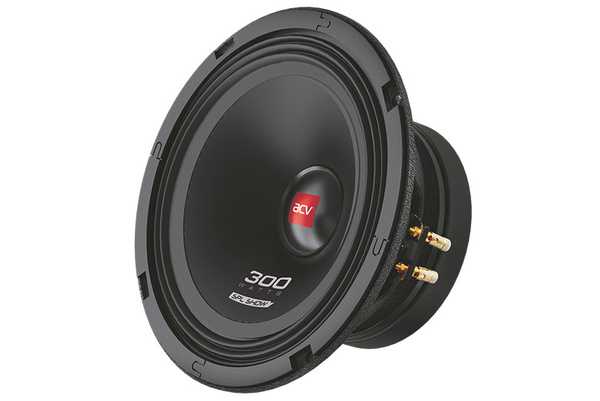 Акустика SPL SHOW 6,5" ACV NF-165HY - купить по выгодной цене в интернет-магазине OZON (1116624556)