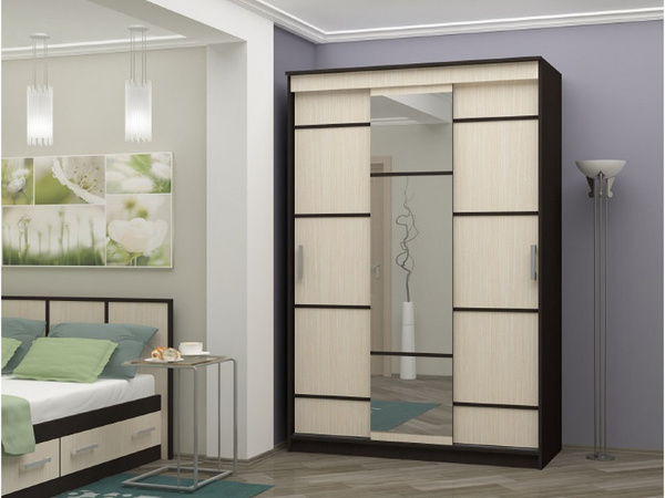 Шкаф-купе БТС Шкаф-купе_БТС092610_БТС, 150x61x221,6 см - купить по ...