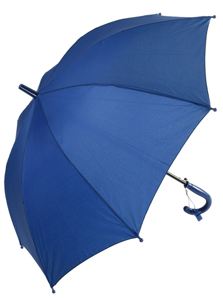 Зонт RAIN-PROOF, Полуавтомат, Трость, синий купить по низкой цене в ...