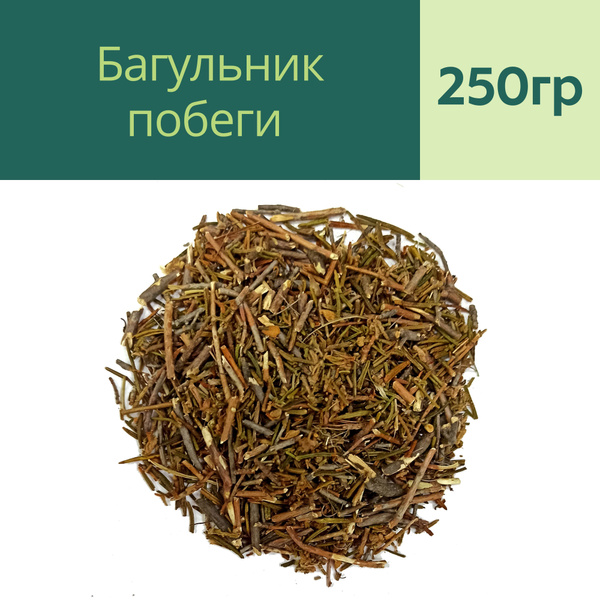 Багульник болотный побеги трава (250гр) - Родные Травы - купить с ...