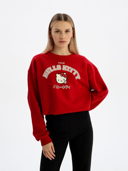 Толстовка ТВОЕ Hello Kitty - купить с доставкой по выгодным ценам в ...