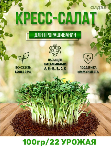 Кресс-салат Сидэл Кресс-салата_1 - купить по выгодным ценам в интернет ...