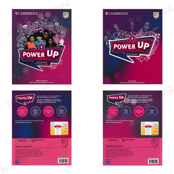 Power Up. Level 5. Activity Book With Online Resources And Home Booklet ...