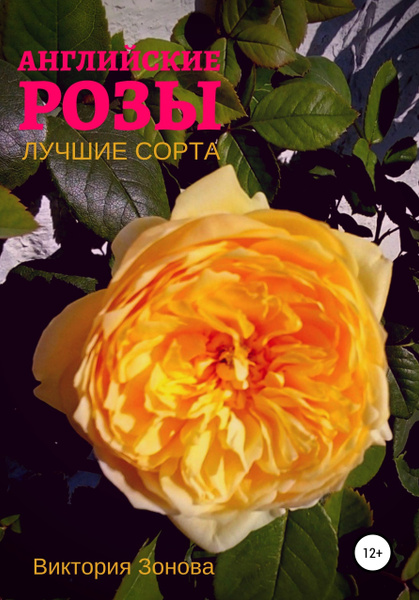 Английские розы. Лучшие сорта | Зонова Виктория | Электронная книга ...