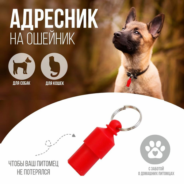 Адресник на ошейник для собак с капсулой, для кошек - купить с ...